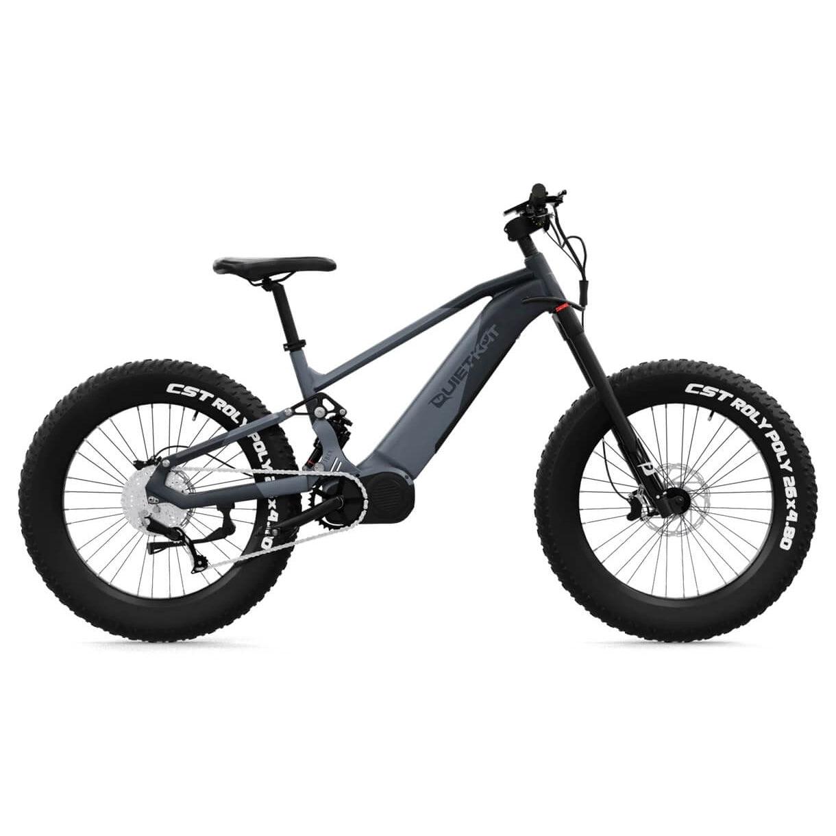 Quiet Cat E Bike