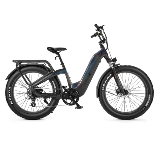 Velowave Grace 2.0 750W Fat Tire Step-Thru Cruiser Electric Bike ...